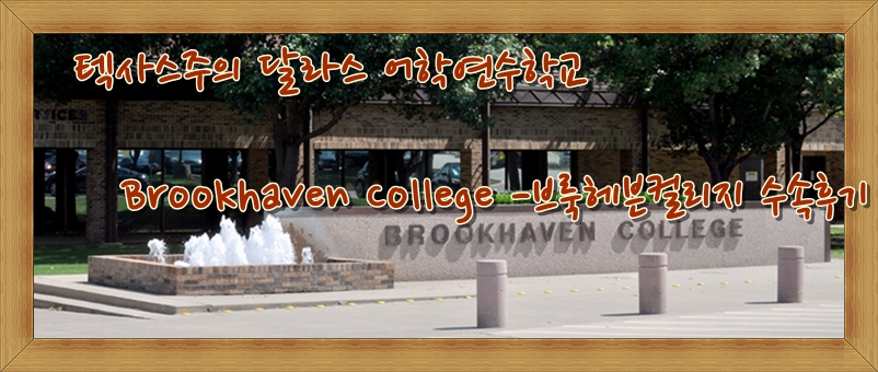 유학이야기 - 텍사스 달라스의 브룩헤븐컬리지- Brookhaven College) 수속 후기