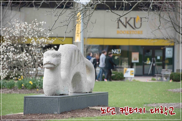 미국대학-내신커트라인 - 내신6등급 - Northern Kentucky University (노던켄터키 대학교), NKU